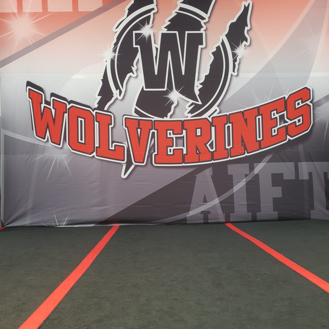 Wolverines Cheer Academy | Wolverines