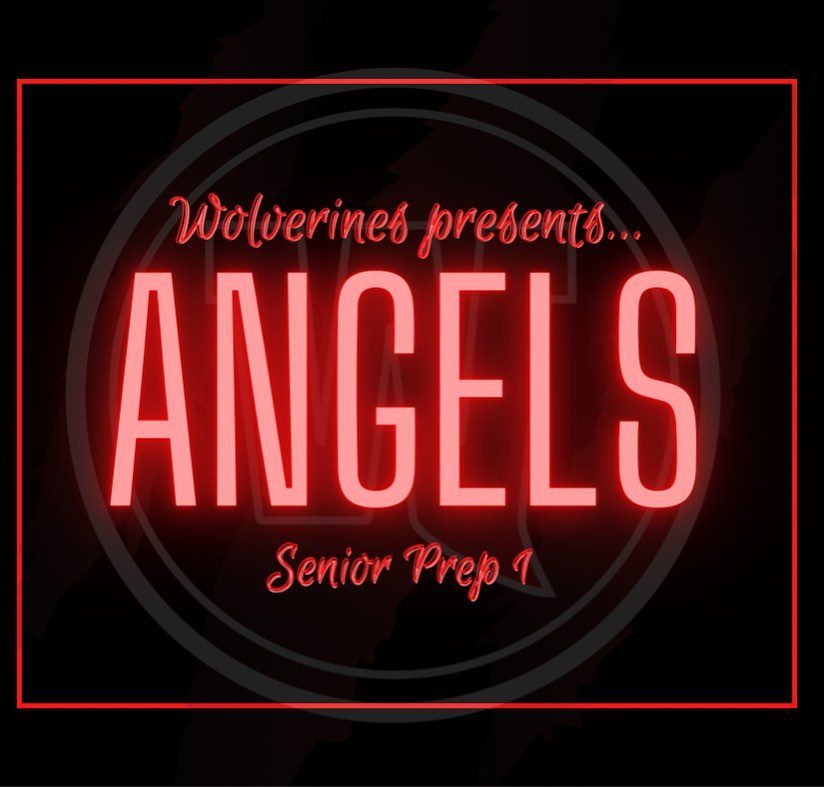 Our Teams | Wolverines