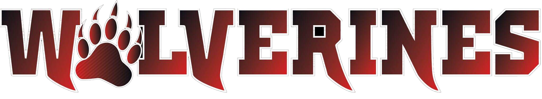 Basingstoke Wolverines Cheerleaders