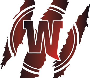 Our Teams | Wolverines